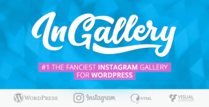 Top Instagram Gallery WordPress Plugins To Double Your Traffic